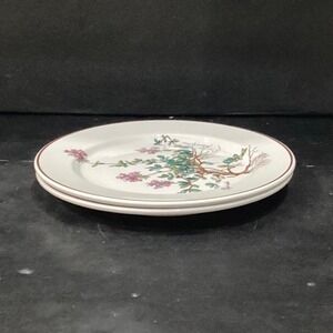 Villeroy & Boch | Dining | Villeroy Boch Botanica Salad Plates Set Of 2 ...